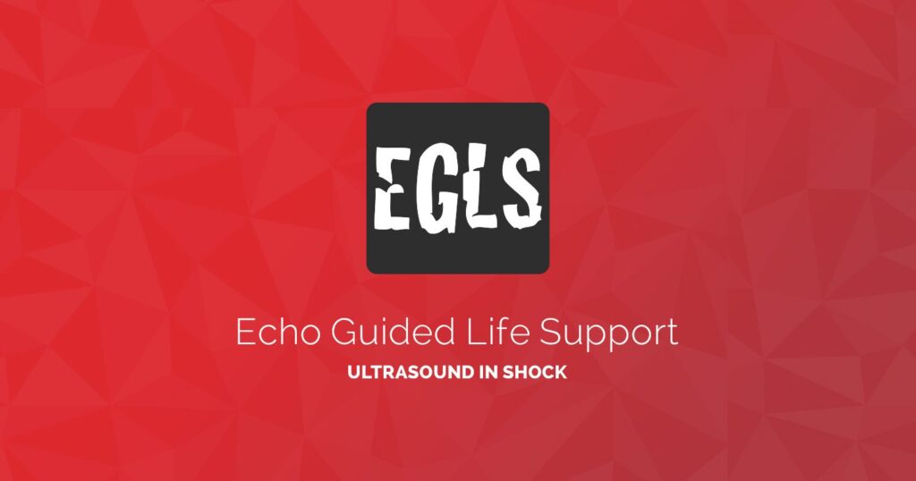 ECHO-Guided Life Support Using ultrasound to categorise shock and guide ...